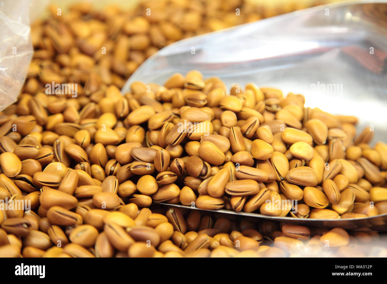 Northeast pine nuts hi-res stock photography and images - Alamy
