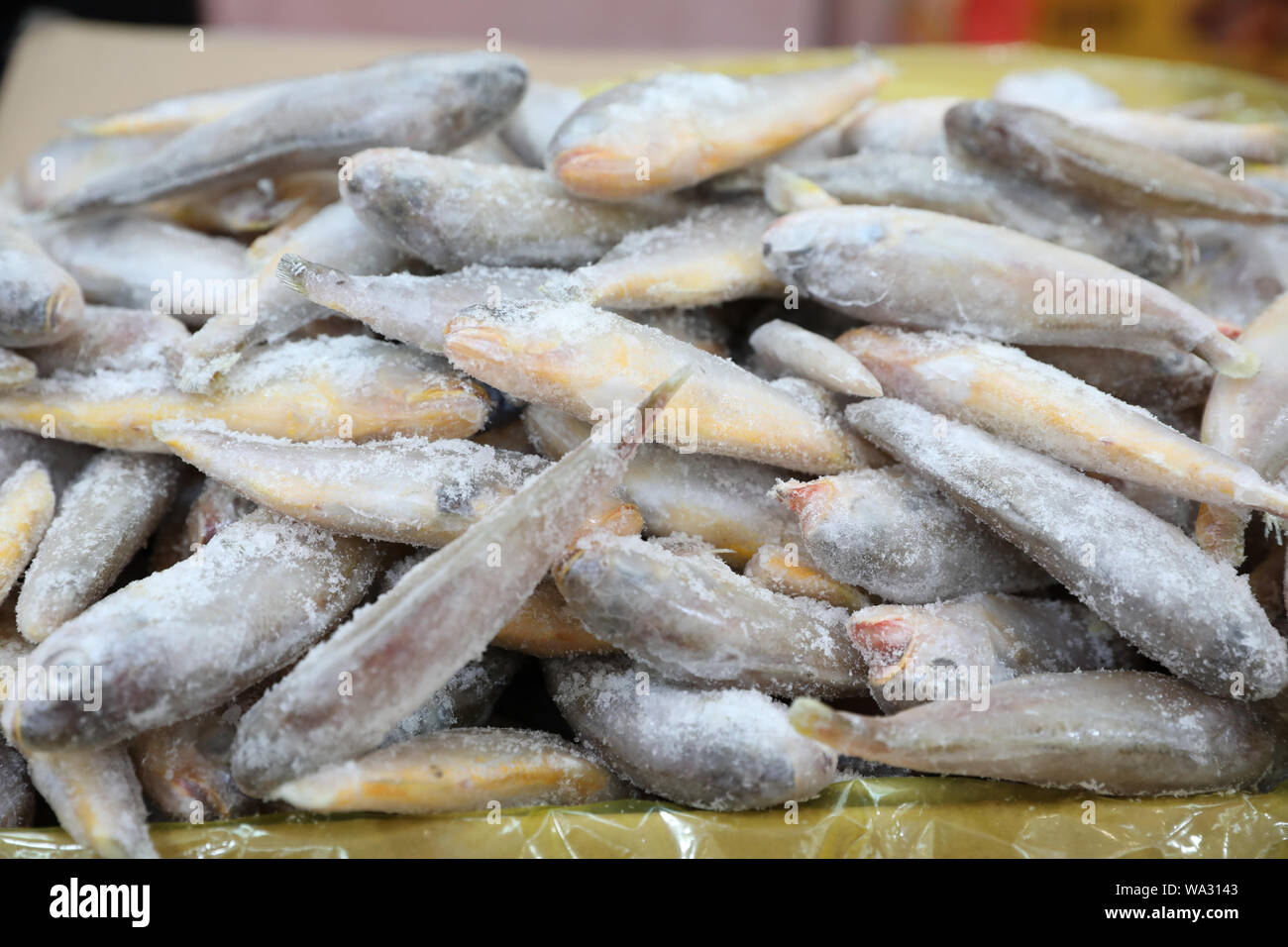 Large yellow croaker china hi-res stock photography and images - Alamy