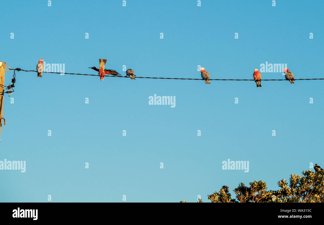 Theres always that one friend hi-res stock photography and images - Alamy