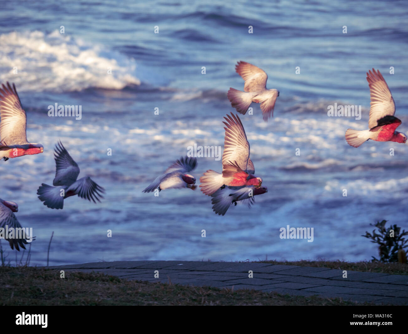 Blur blulrred hi-res stock photography and images - Alamy