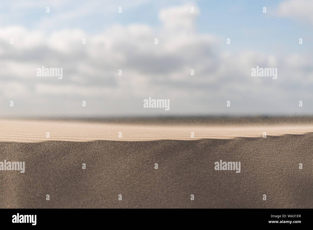 Wind blowing over a sand dune in a desert Stock Photo - Alamy