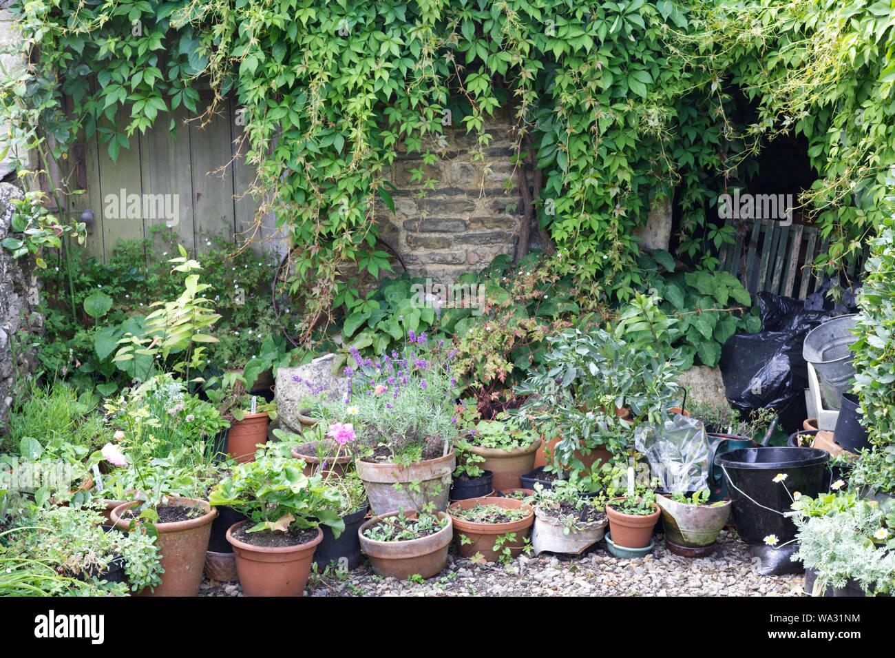 Color full pots hi-res stock photography and images - Alamy