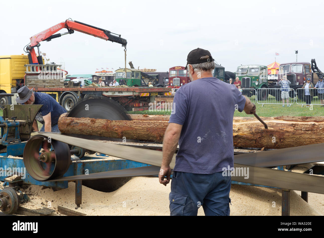 Traditional Steam Engine powered saw wood cutting trough a tree truck ...