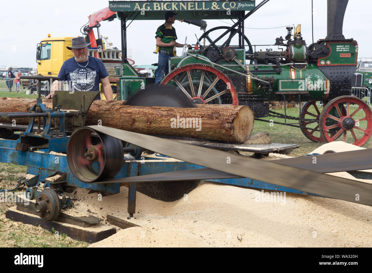 Traditional Steam Engine powered saw wood cutting trough a tree truck ...
