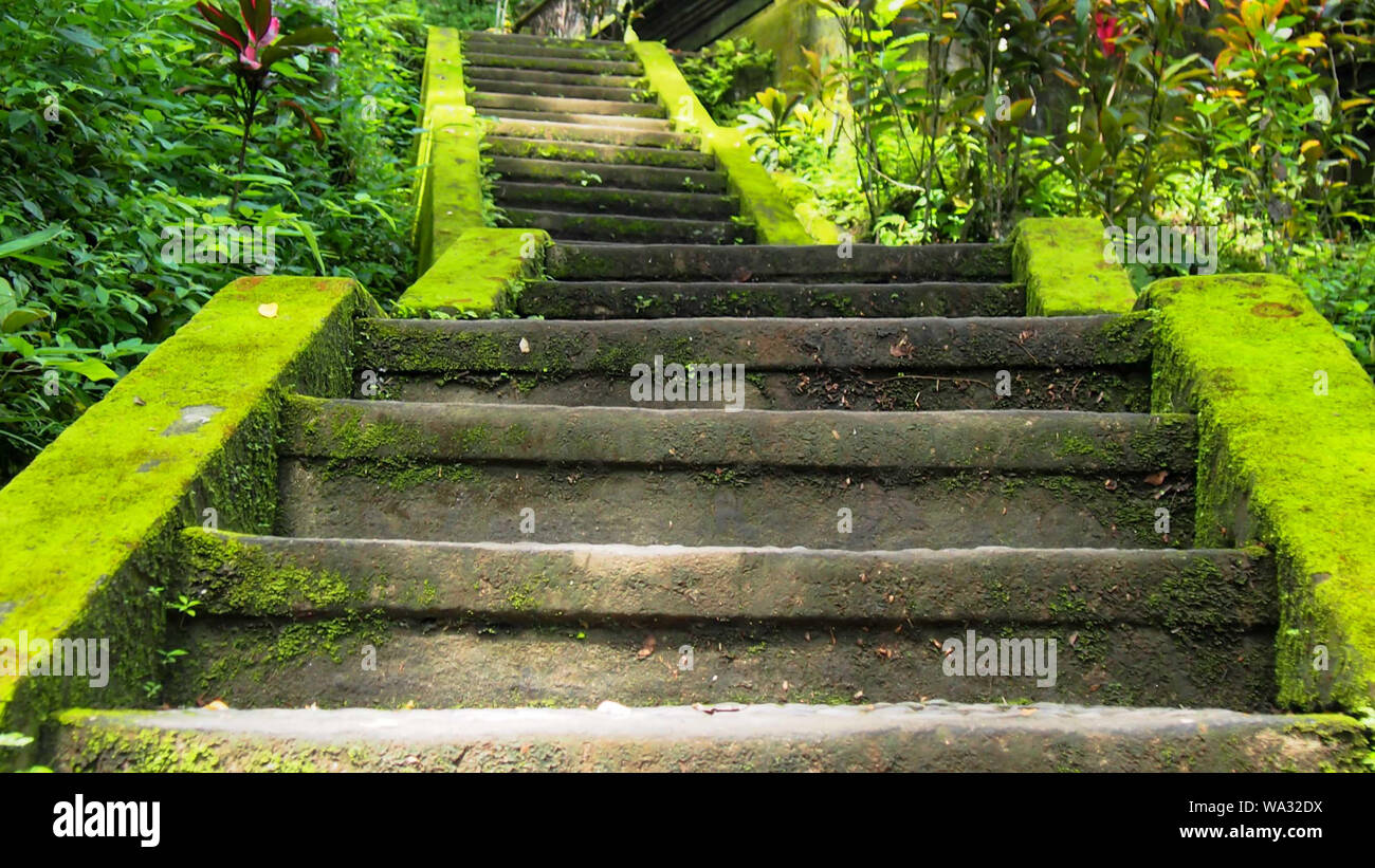 Road with stone stairs near temple in Bali, Indonesia. Summer landscape ...