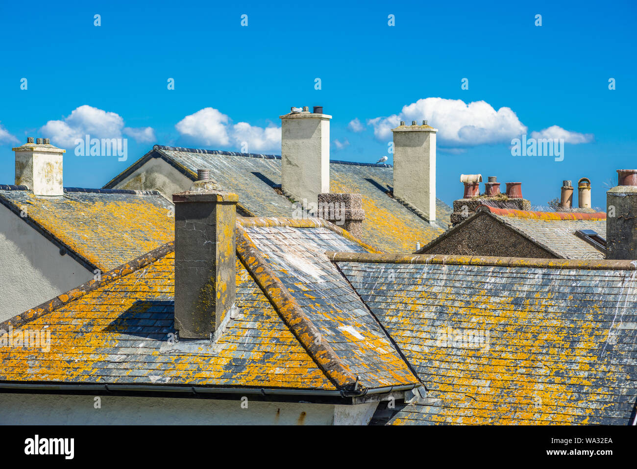 British rooftops hi-res stock photography and images - Alamy