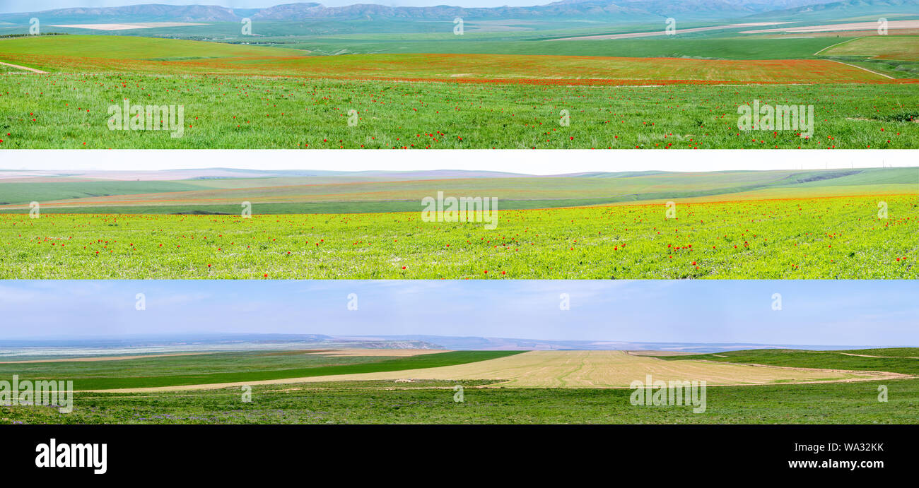 panorama of the spring steppe Stock Photo - Alamy