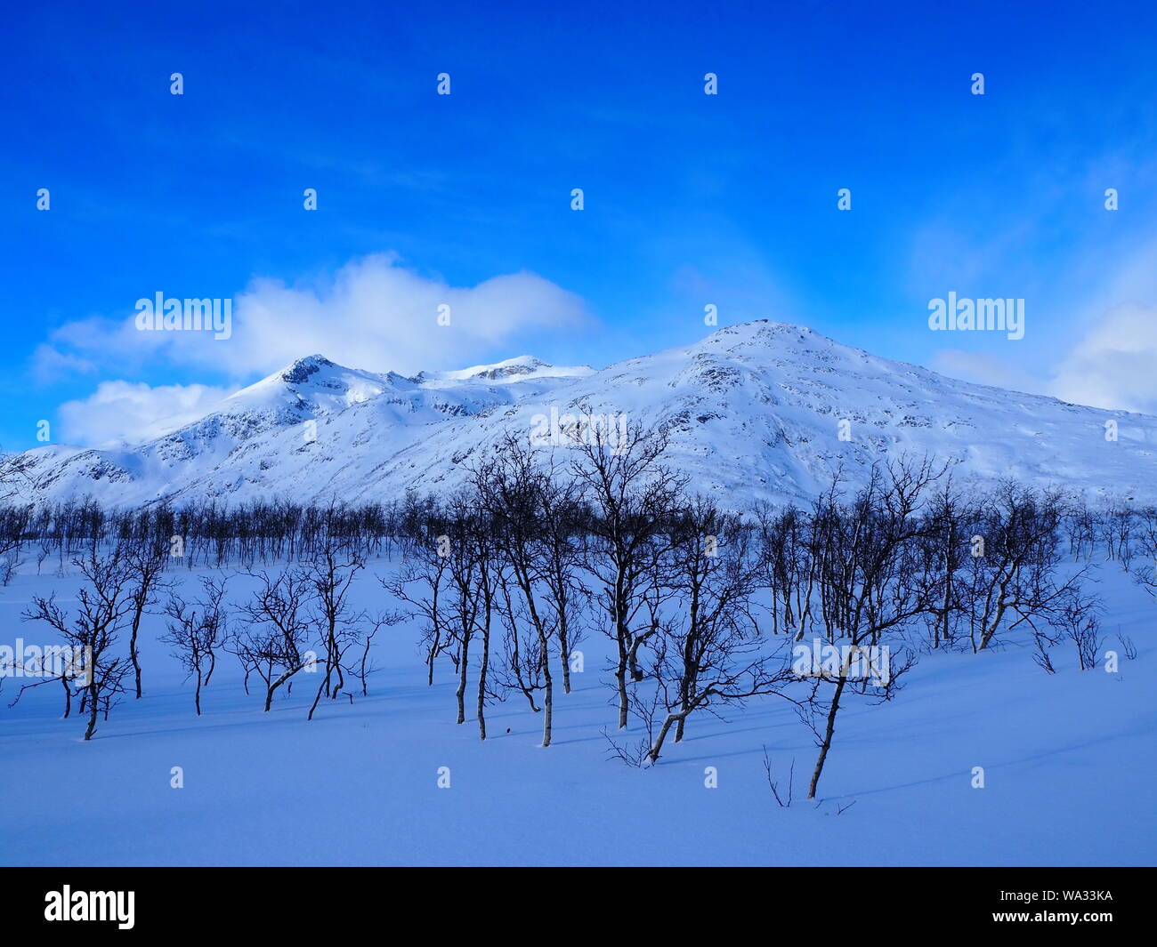 Astonishing blue sky hi-res stock photography and images - Alamy