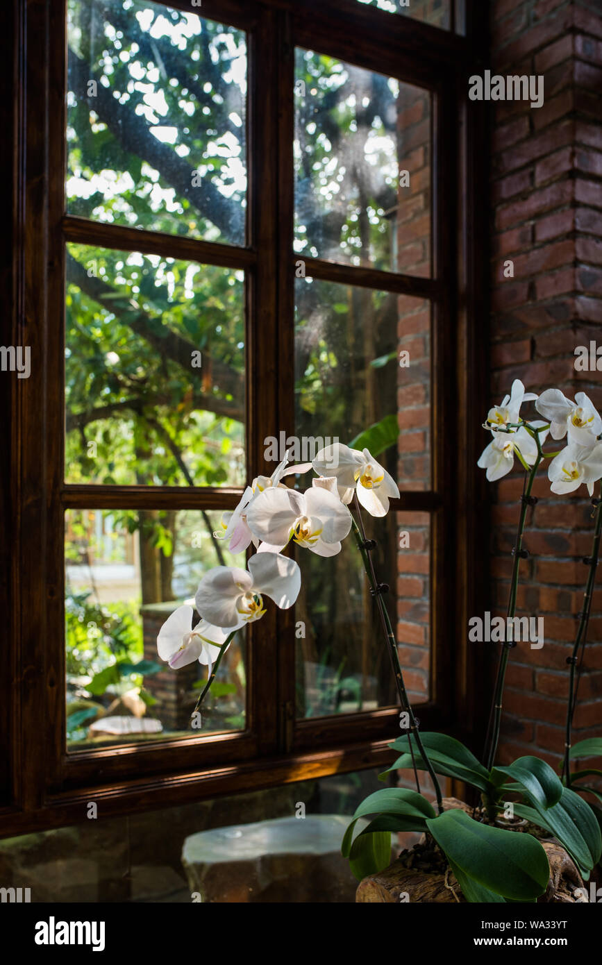 Chinese style window decoration Stock Photo - Alamy