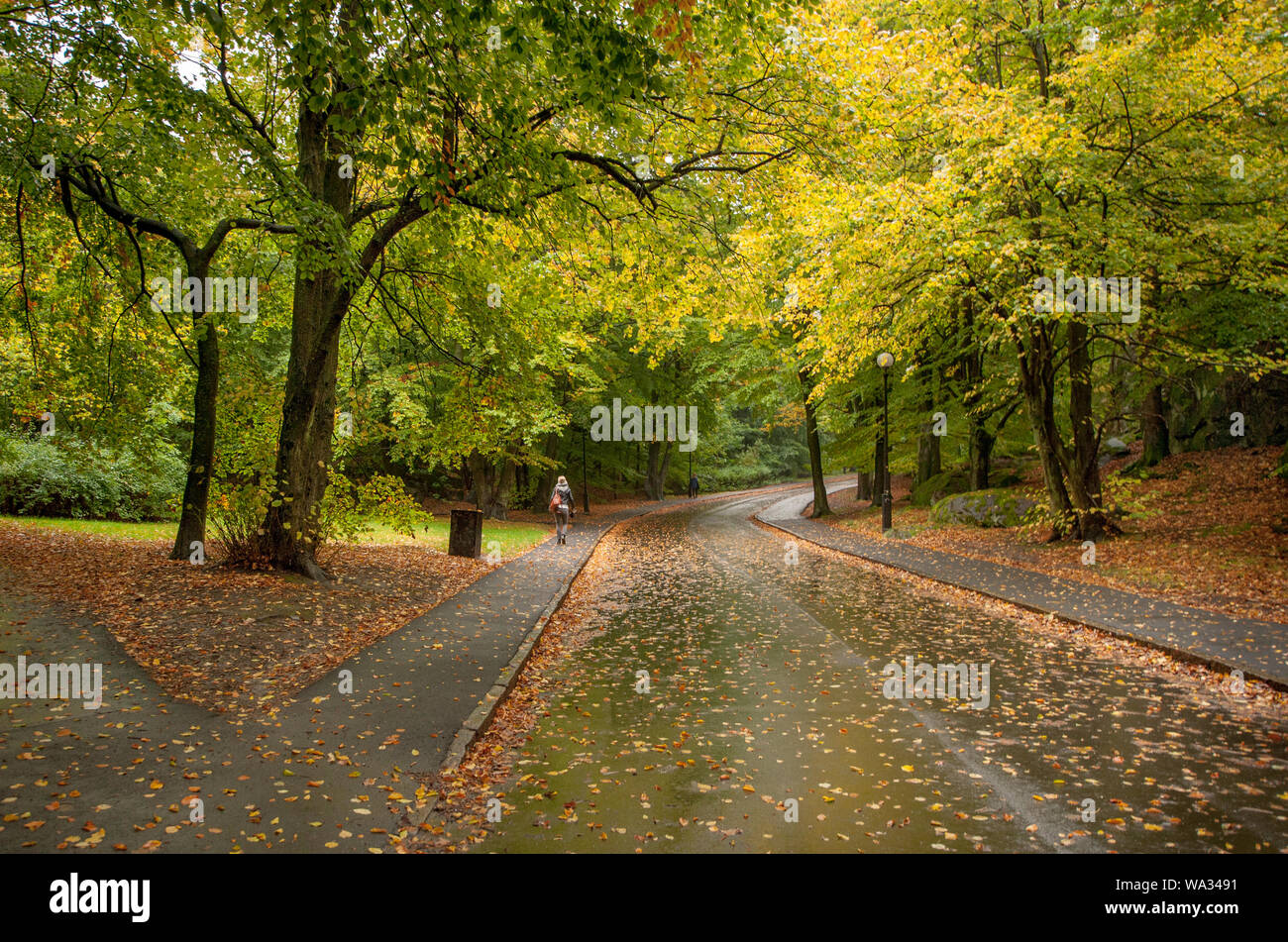 Greeen Tree High Resolution Stock Photography and Images - Alamy