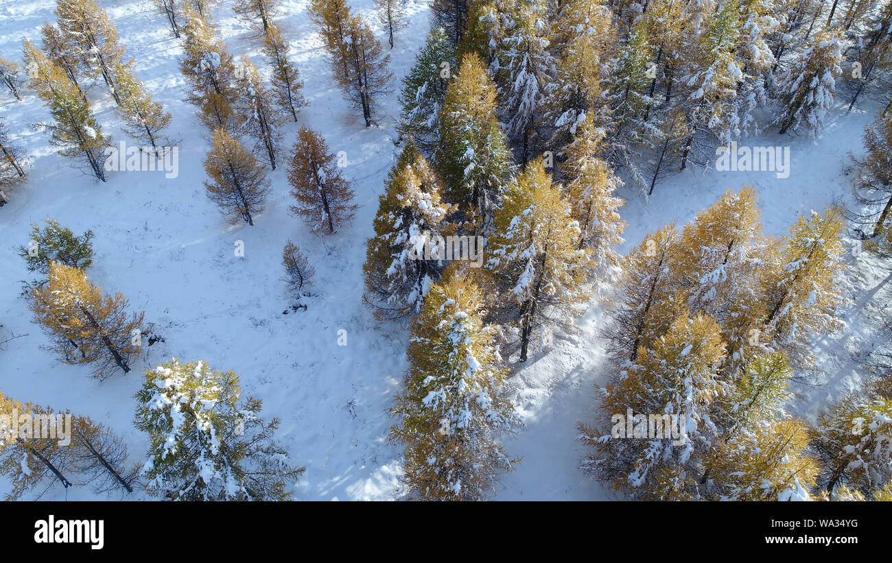 Autumn winter scene Stock Photo - Alamy