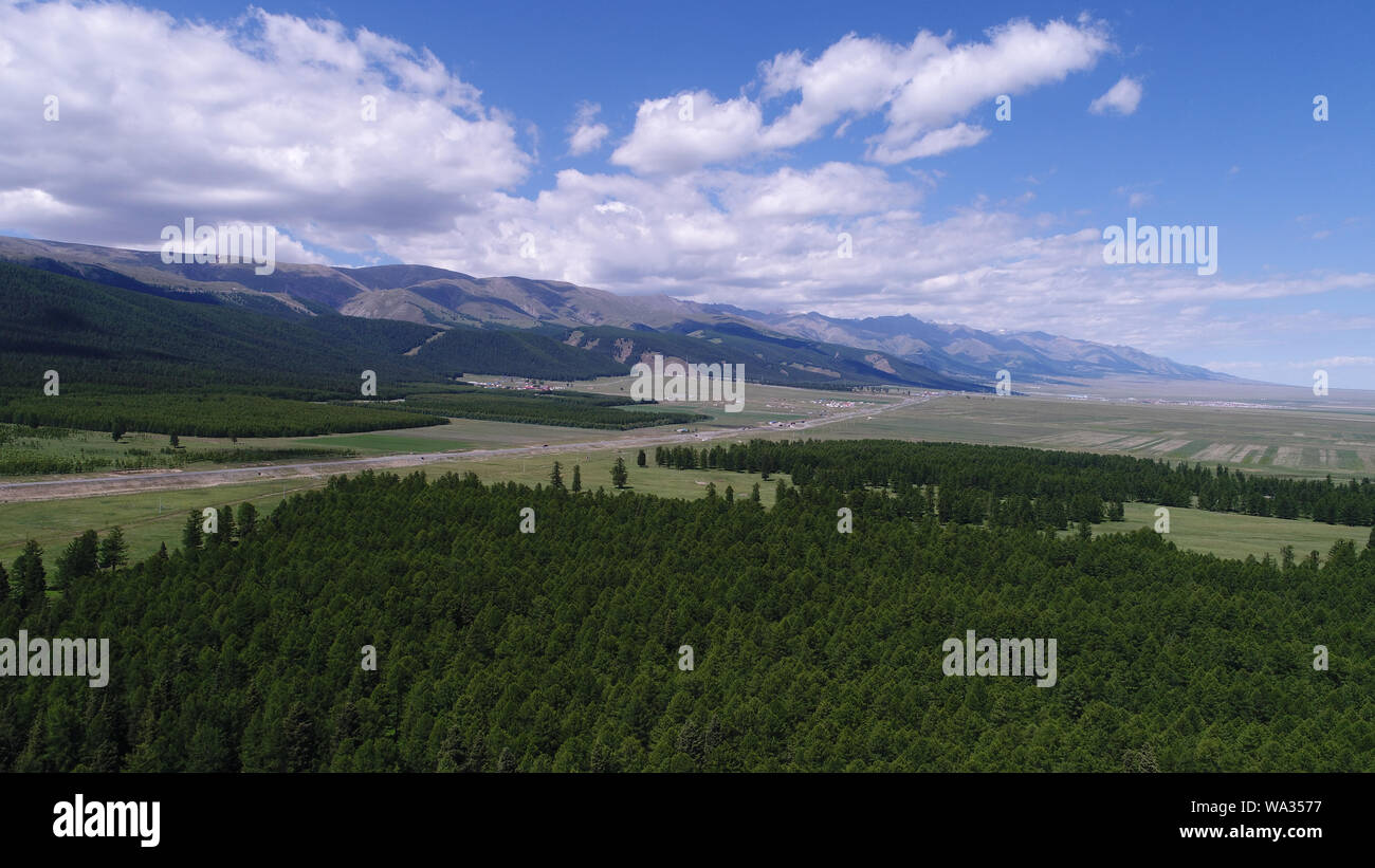Xinjiang forest hi-res stock photography and images - Alamy