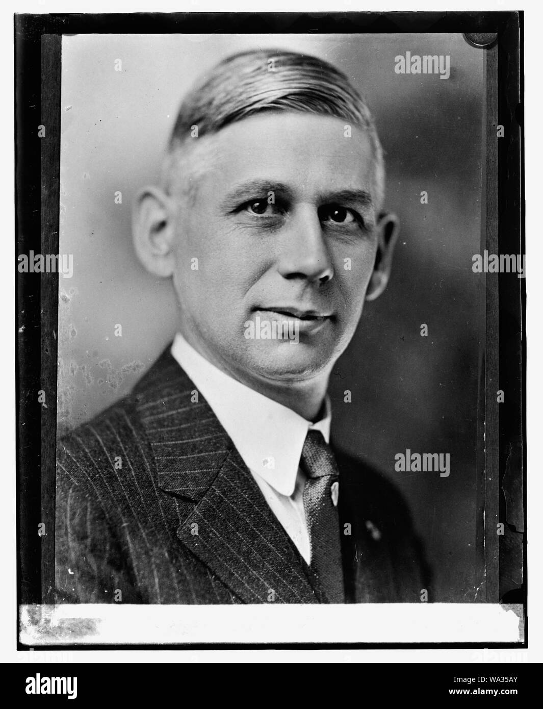 State bird of Cut Out Stock Images & Pictures - Alamy