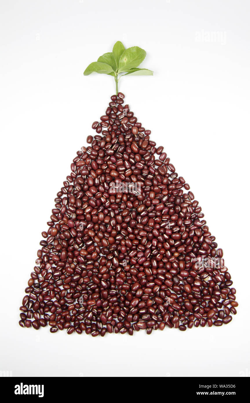 Basic medicine hi-res stock photography and images - Alamy