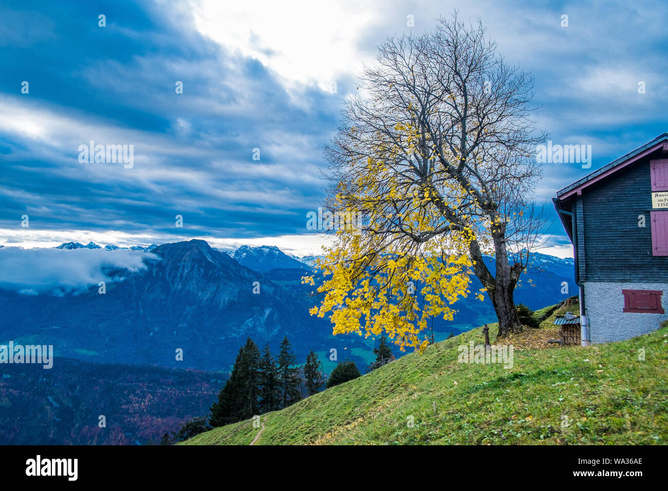 The Alps scenery Stock Photo - Alamy