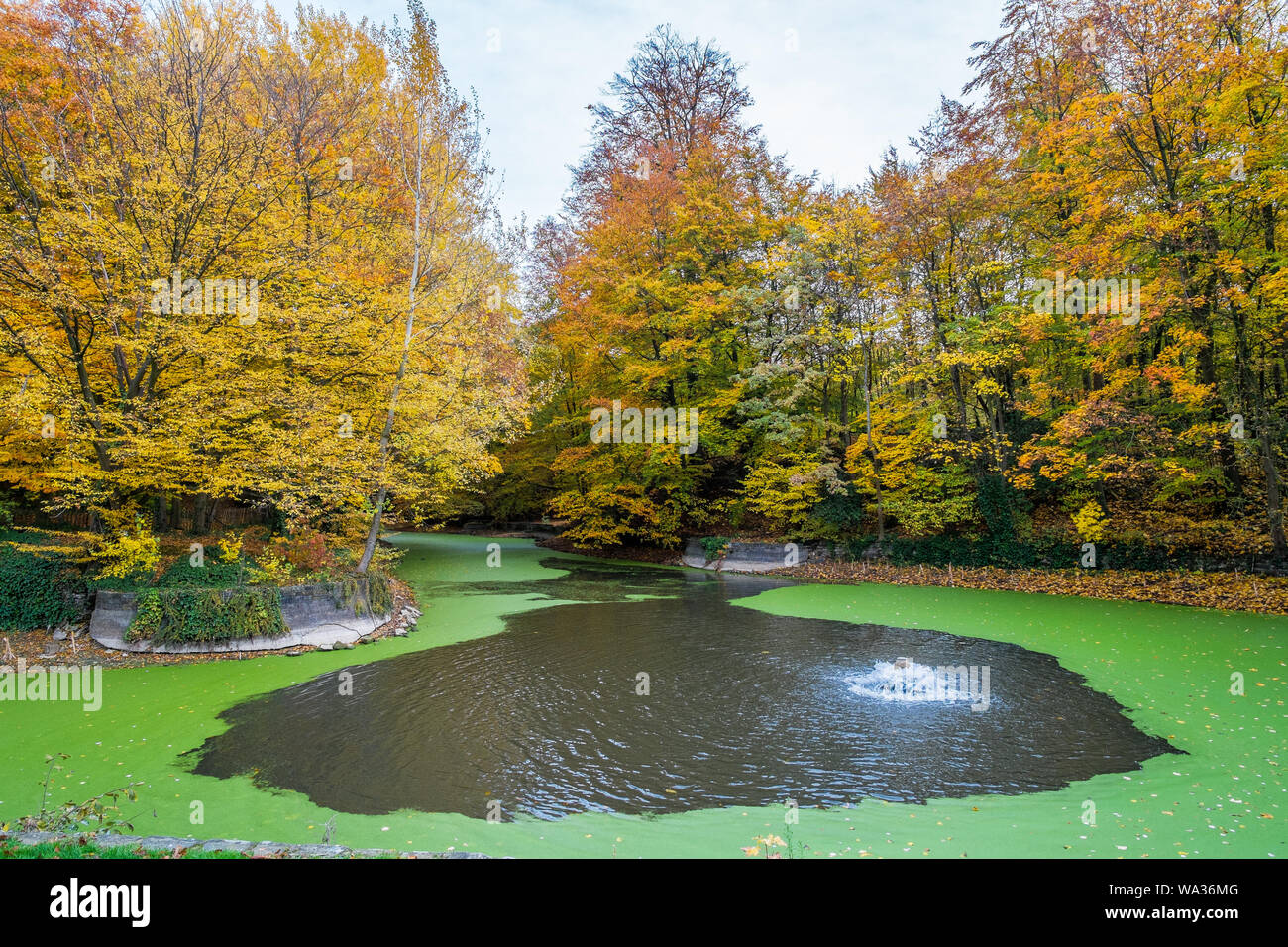 Lawns and water scenery hi-res stock photography and images - Alamy