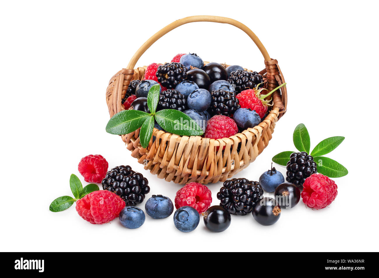 mix of blackberry blueberry raspberry black currant with leaf in wicker ...