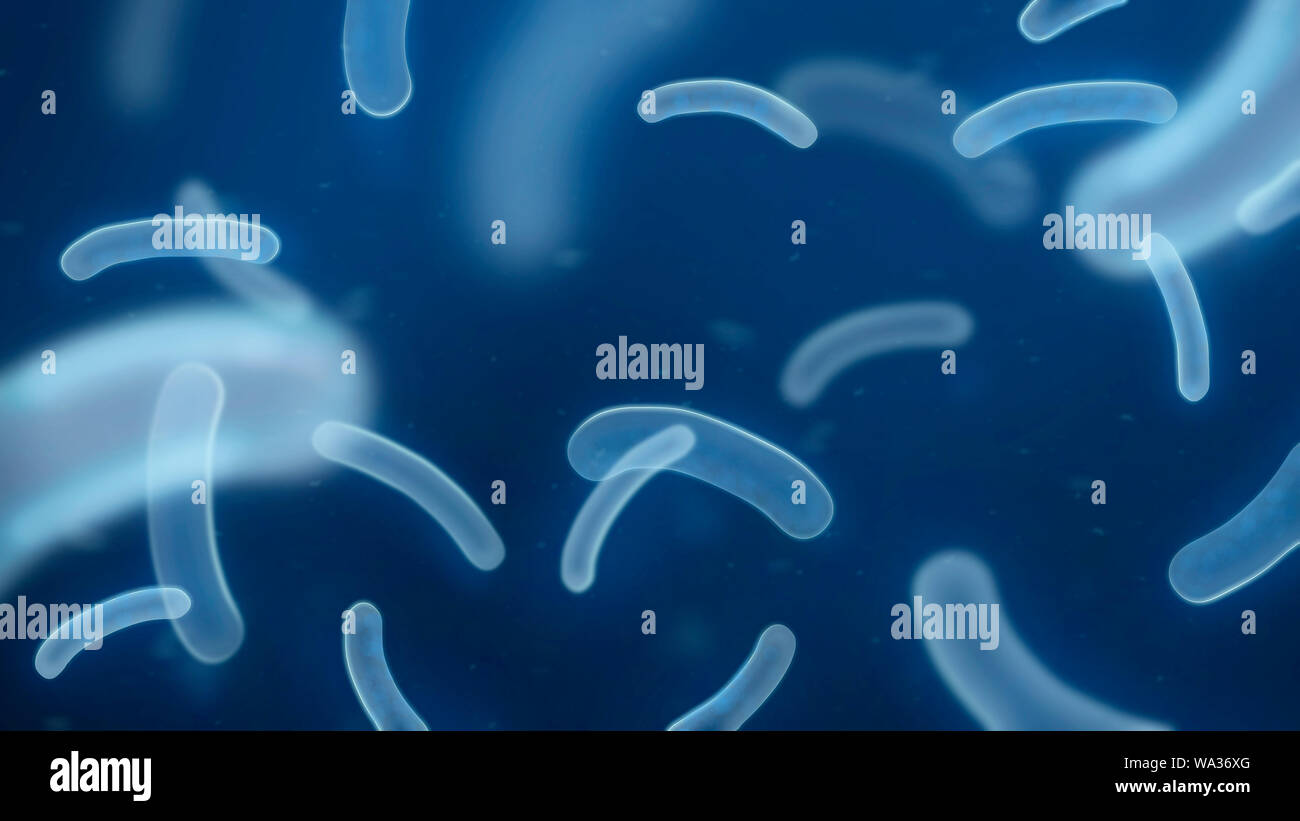 Sea water microscope hi-res stock photography and images - Alamy