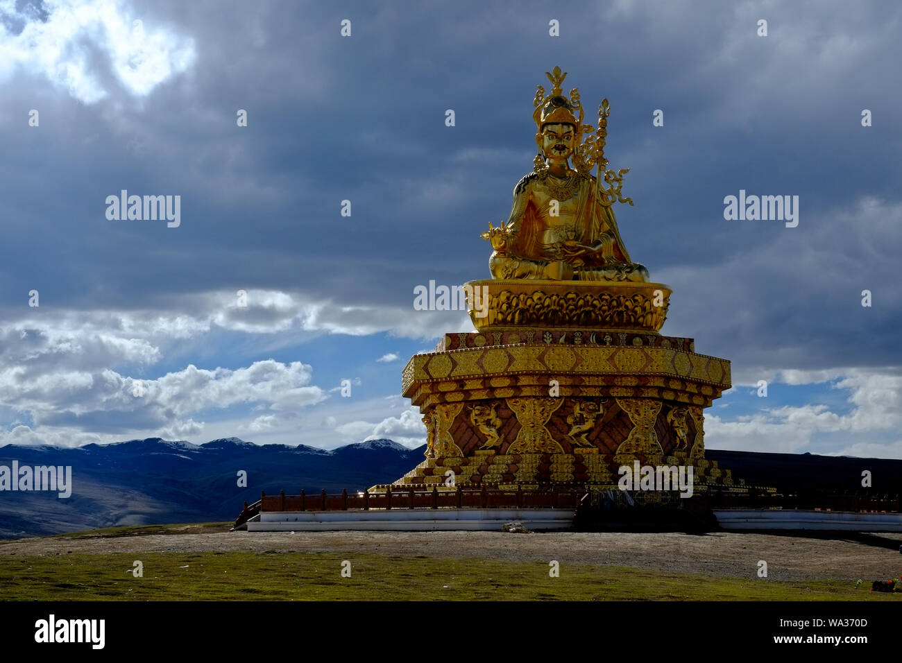 Steve temple hi-res stock photography and images - Alamy