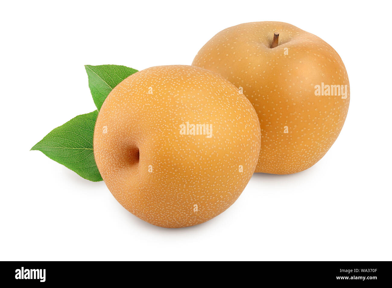 Fresh asian pear with leaf isolated on white background Stock Photo - Alamy