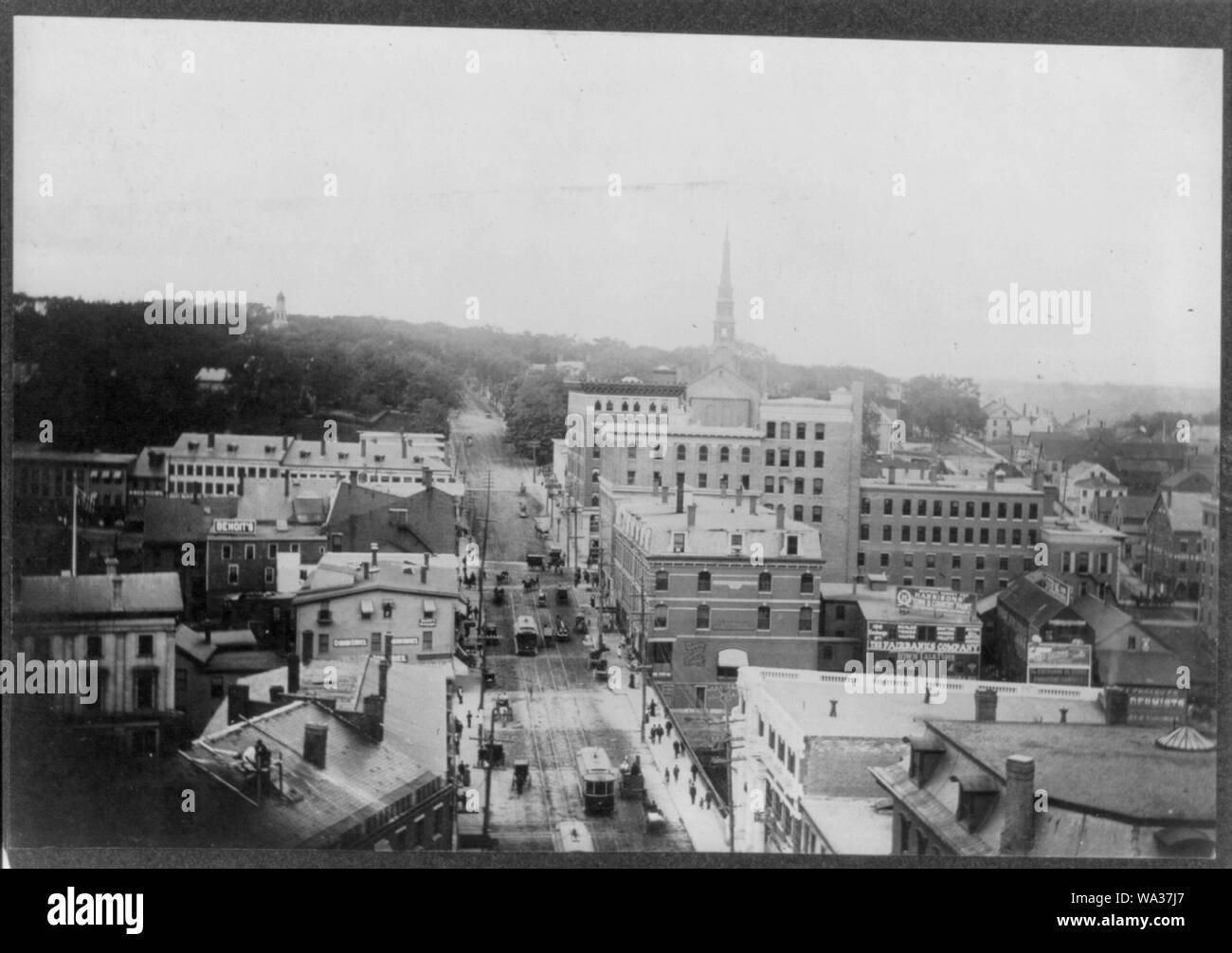 State birds Black and White Stock Photos & Images - Alamy