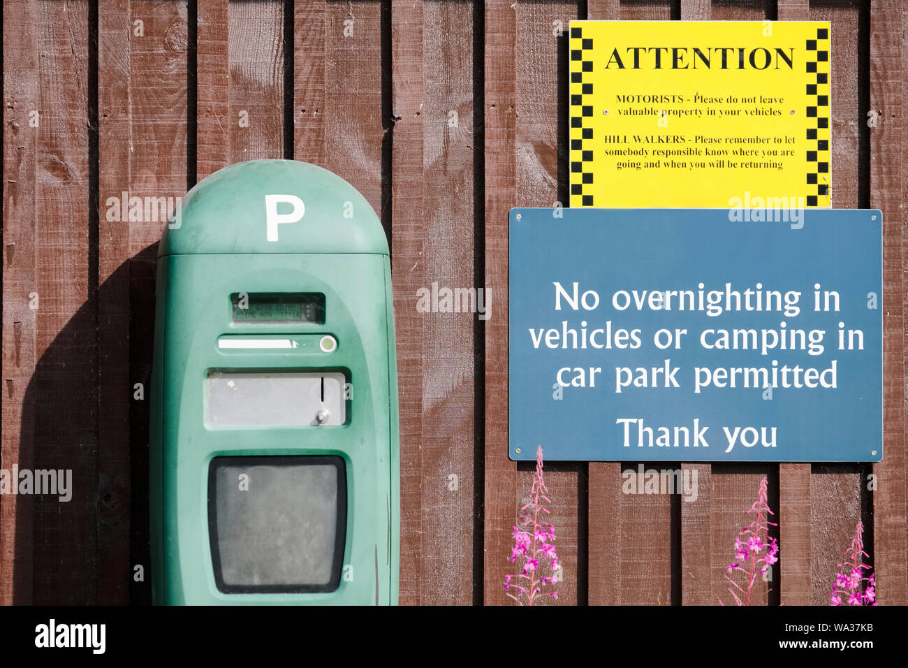 Parking pay machine and no overnight camping sign Stock Photo - Alamy