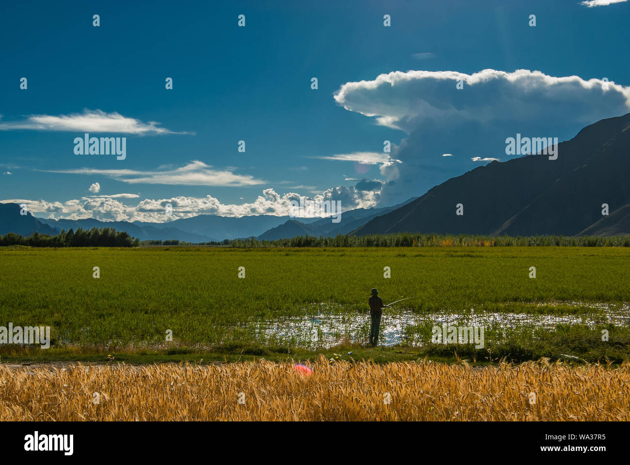 Lhasa river scenery Stock Photo - Alamy