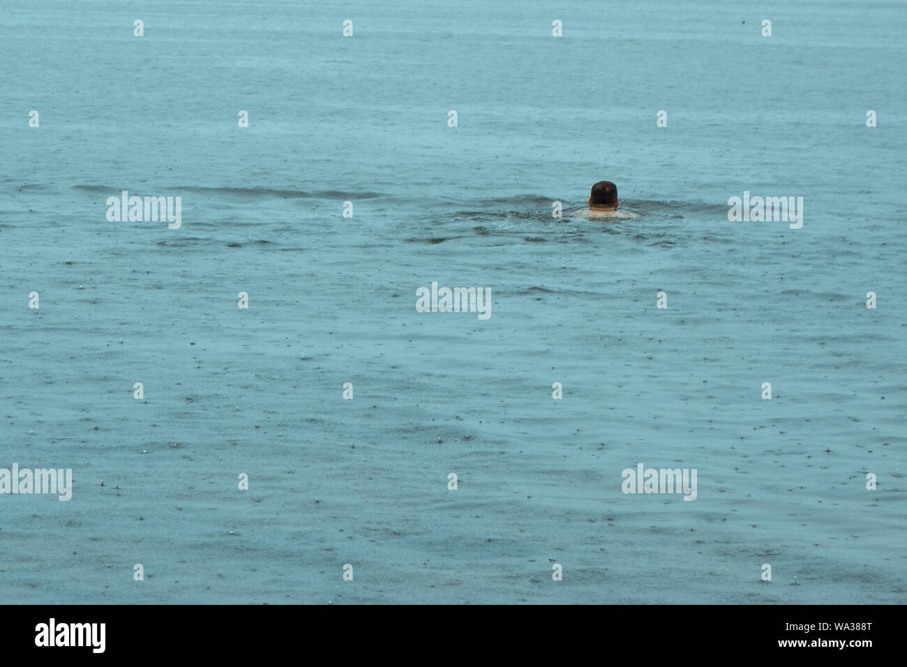 Man swims away under rain. Head of swimming guy in water among ripples ...