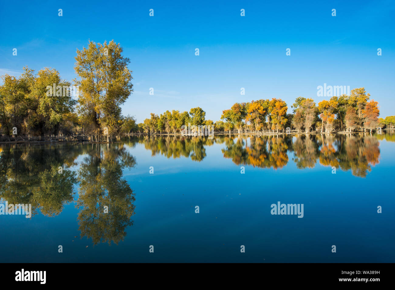 Tarim lake hi-res stock photography and images - Alamy