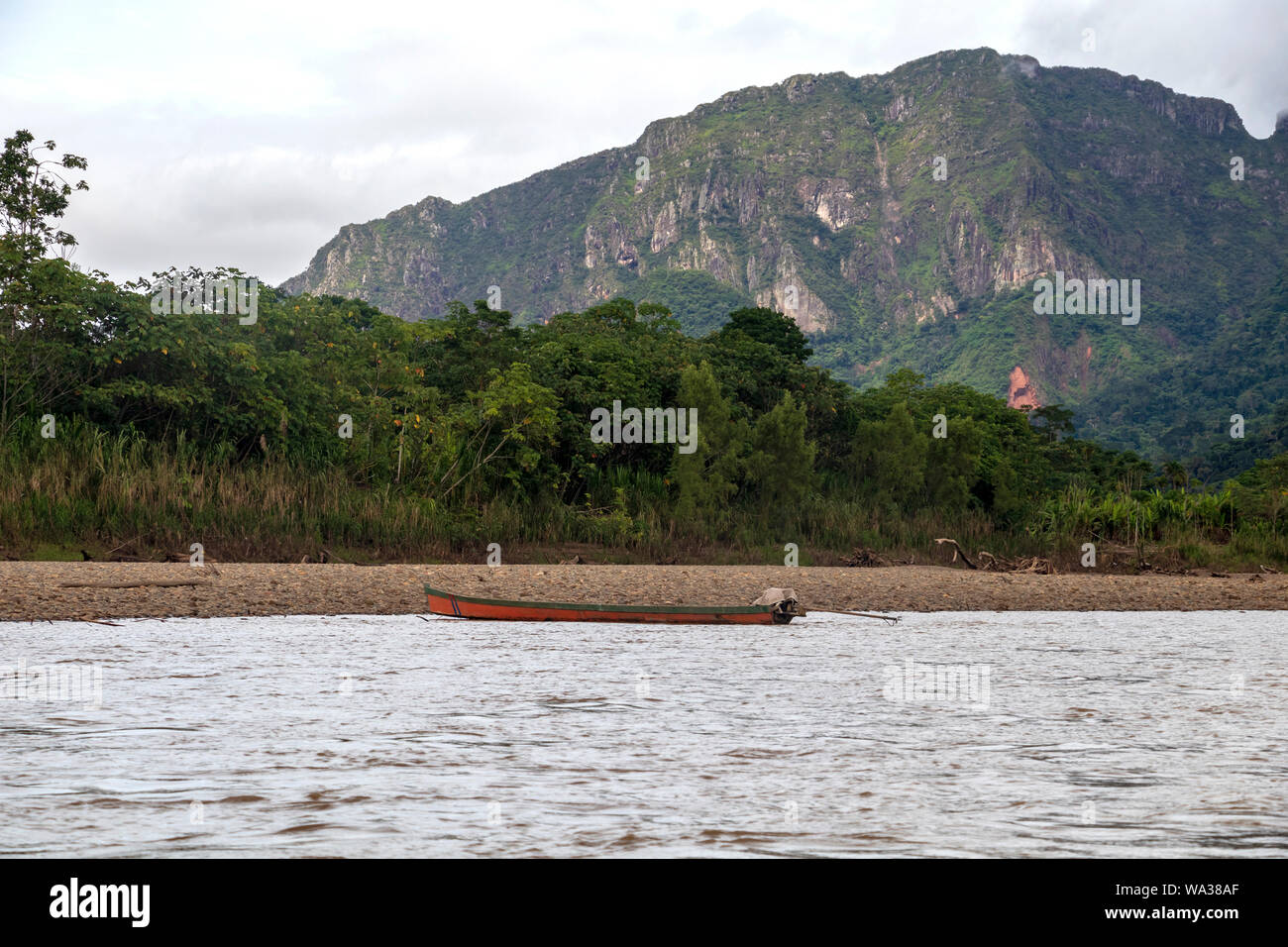 Eco tourism boat tour on Beni river, view on muddy river water and ...