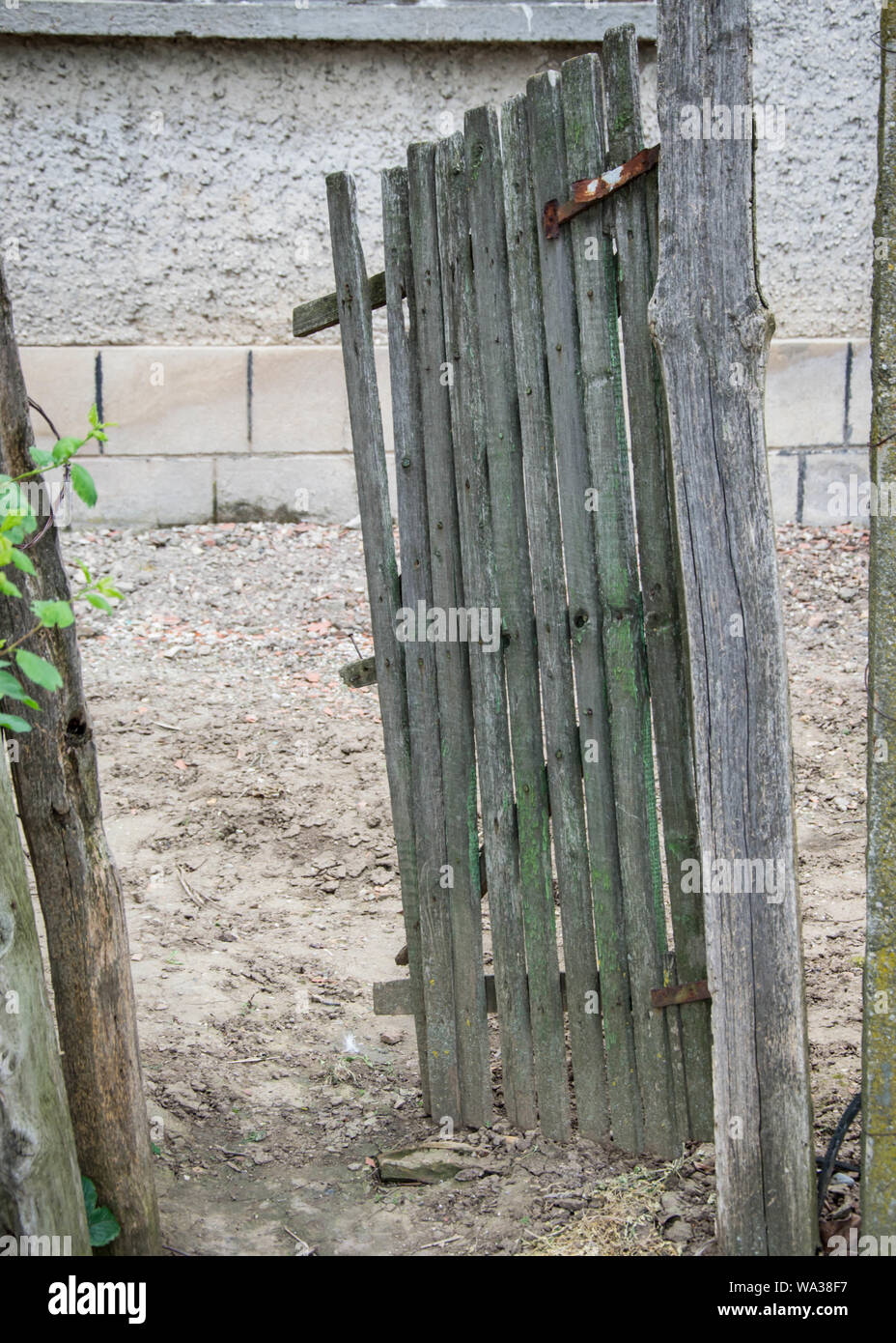 Old rustic wooden door in the backyard, broken door, open or closed ...