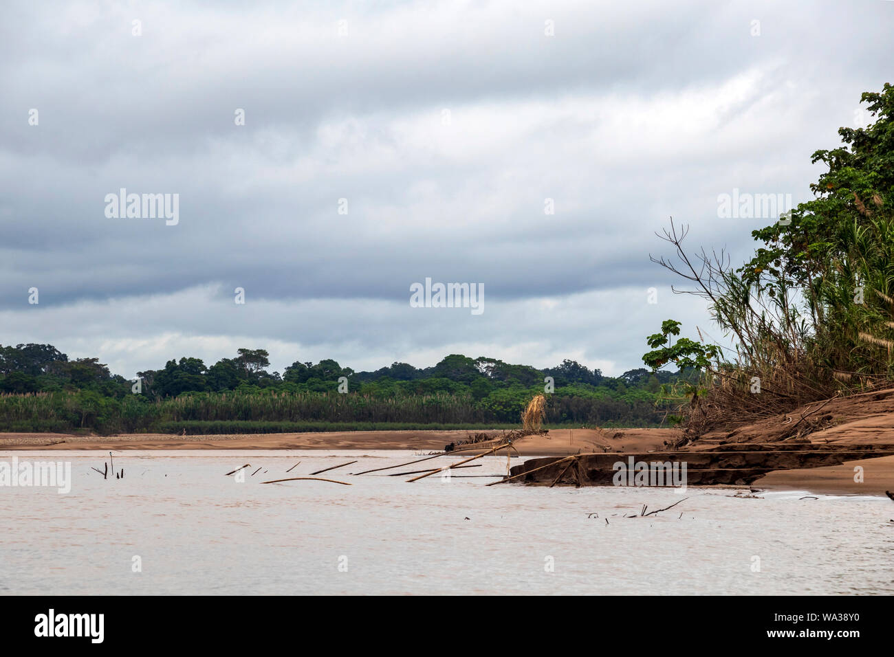 Eco tourism boat tour on Beni river, view on muddy river water and ...