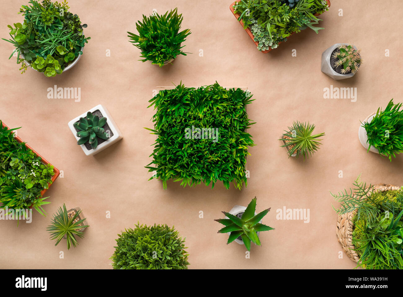 Pattern of various potted plants on craft paper Stock Photo - Alamy