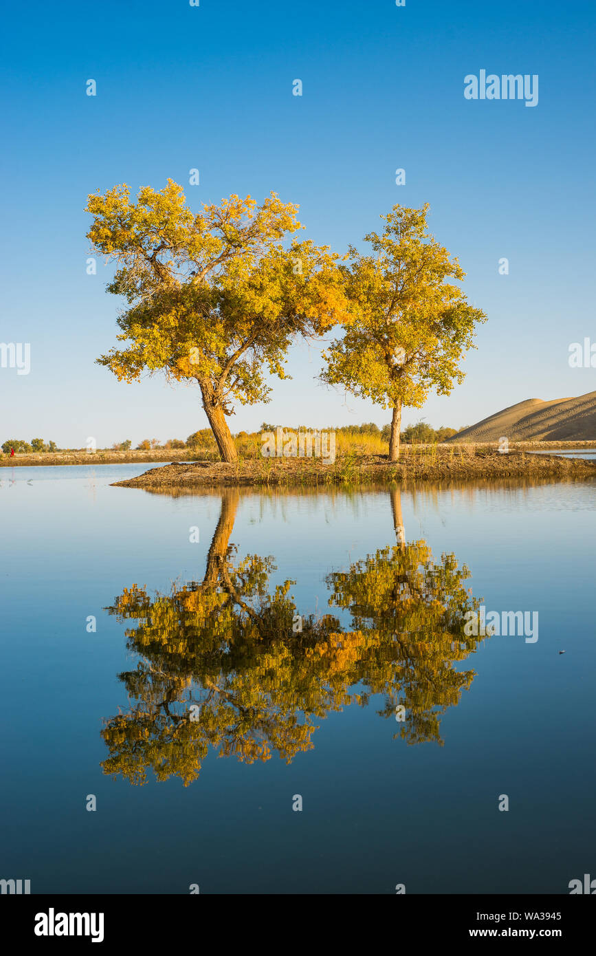 Luo hi-res stock photography and images - Alamy