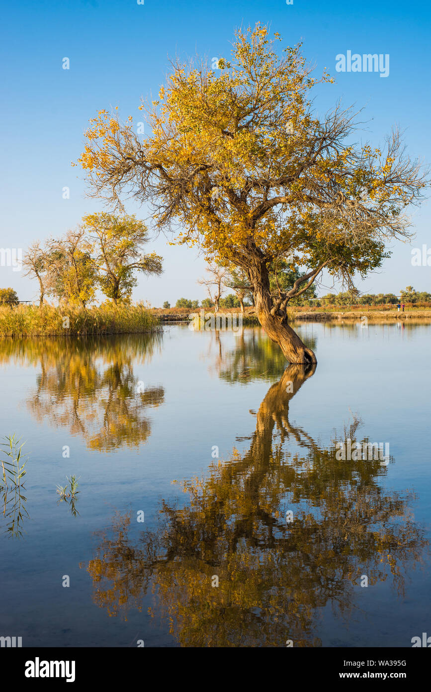 Luo village hi-res stock photography and images - Alamy