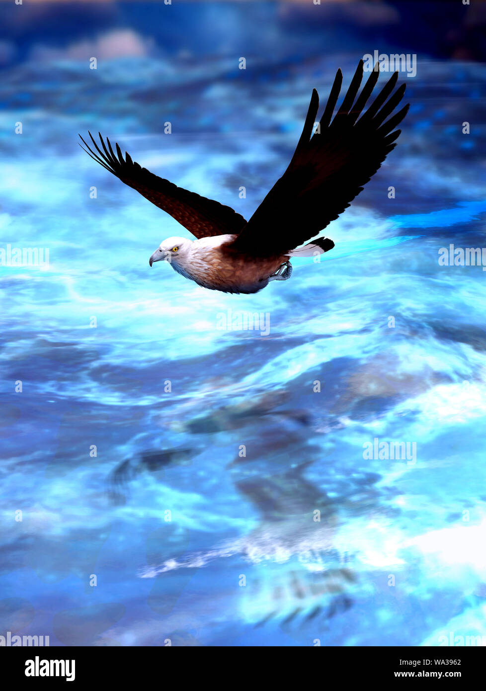 Fish Eagle soaring, flying majestically over stormy ocean waters, 3d ...
