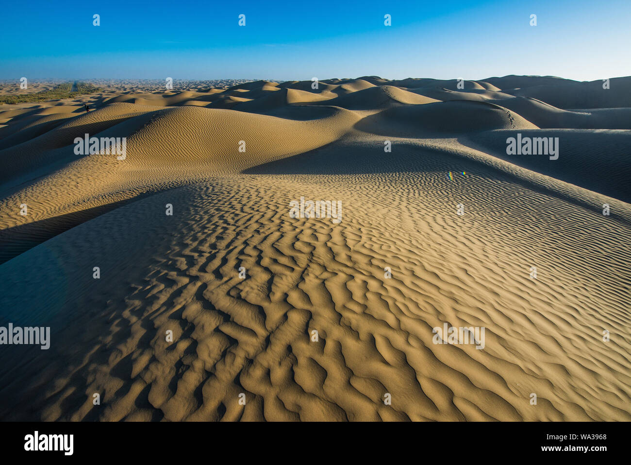 The taklamakan desert Stock Photo - Alamy