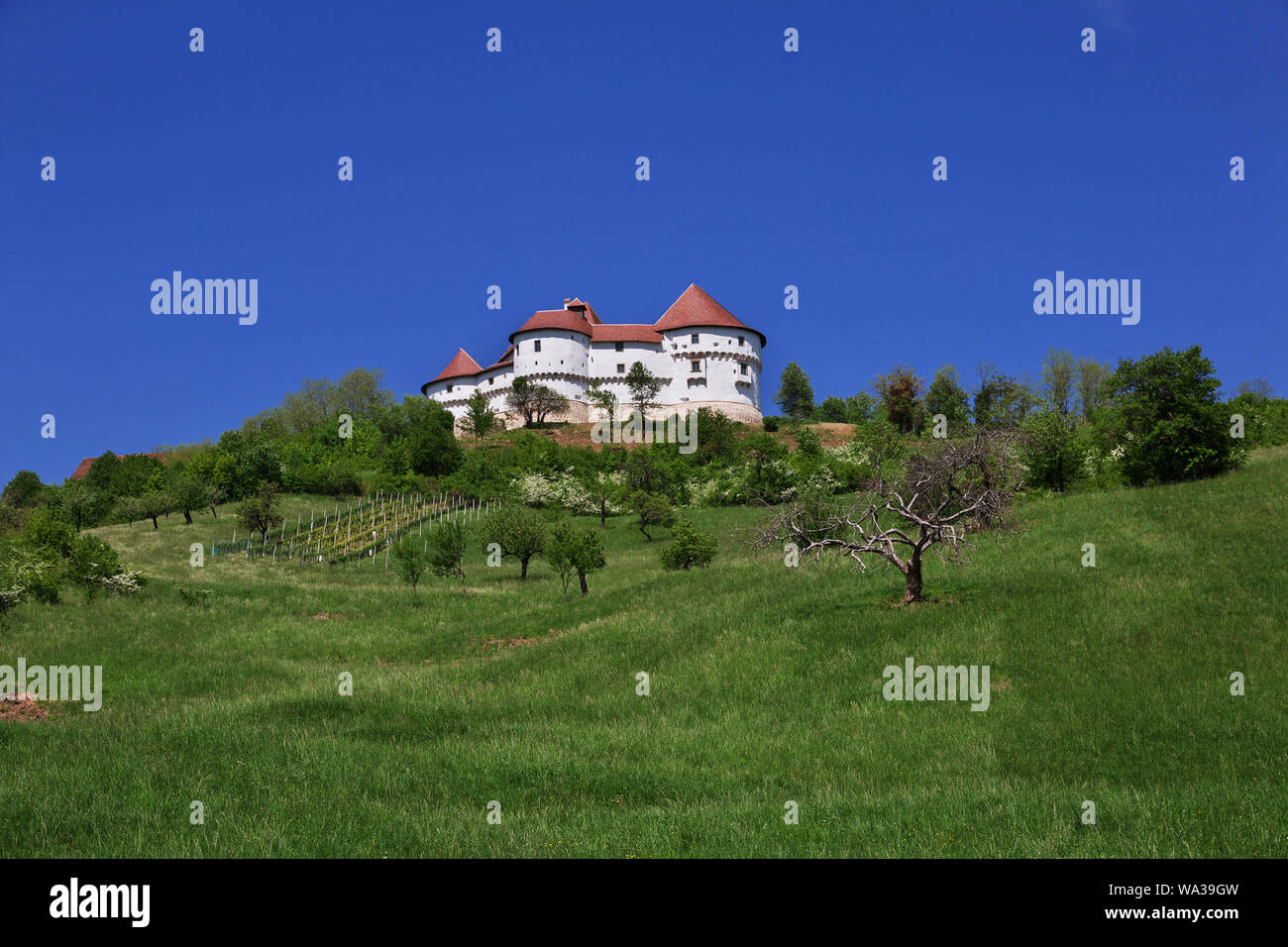 Dvor Veliki Tabor is the castle in Croatia Stock Photo - Alamy