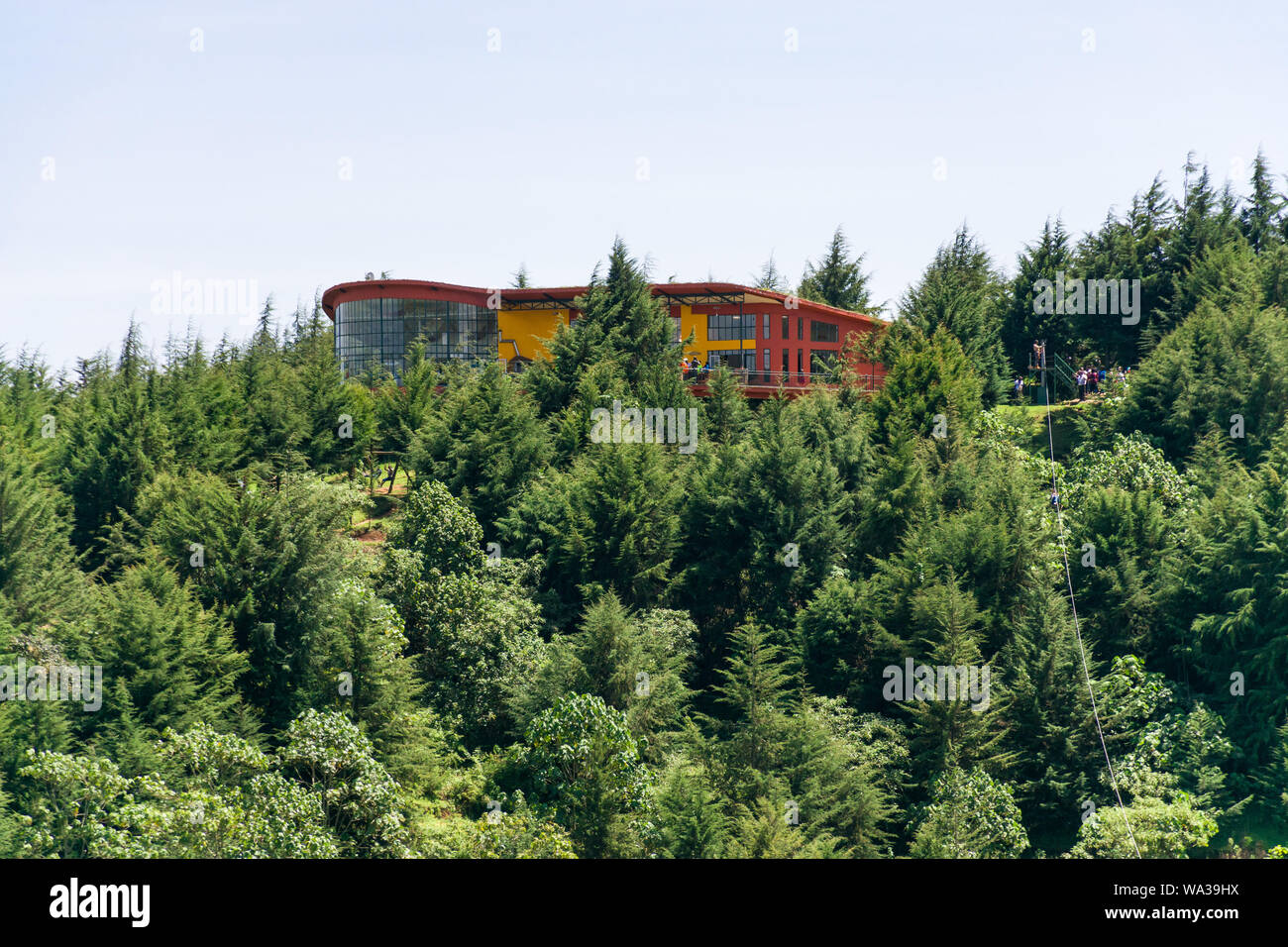 View of The Forest main building and restaurant above the tree line ...