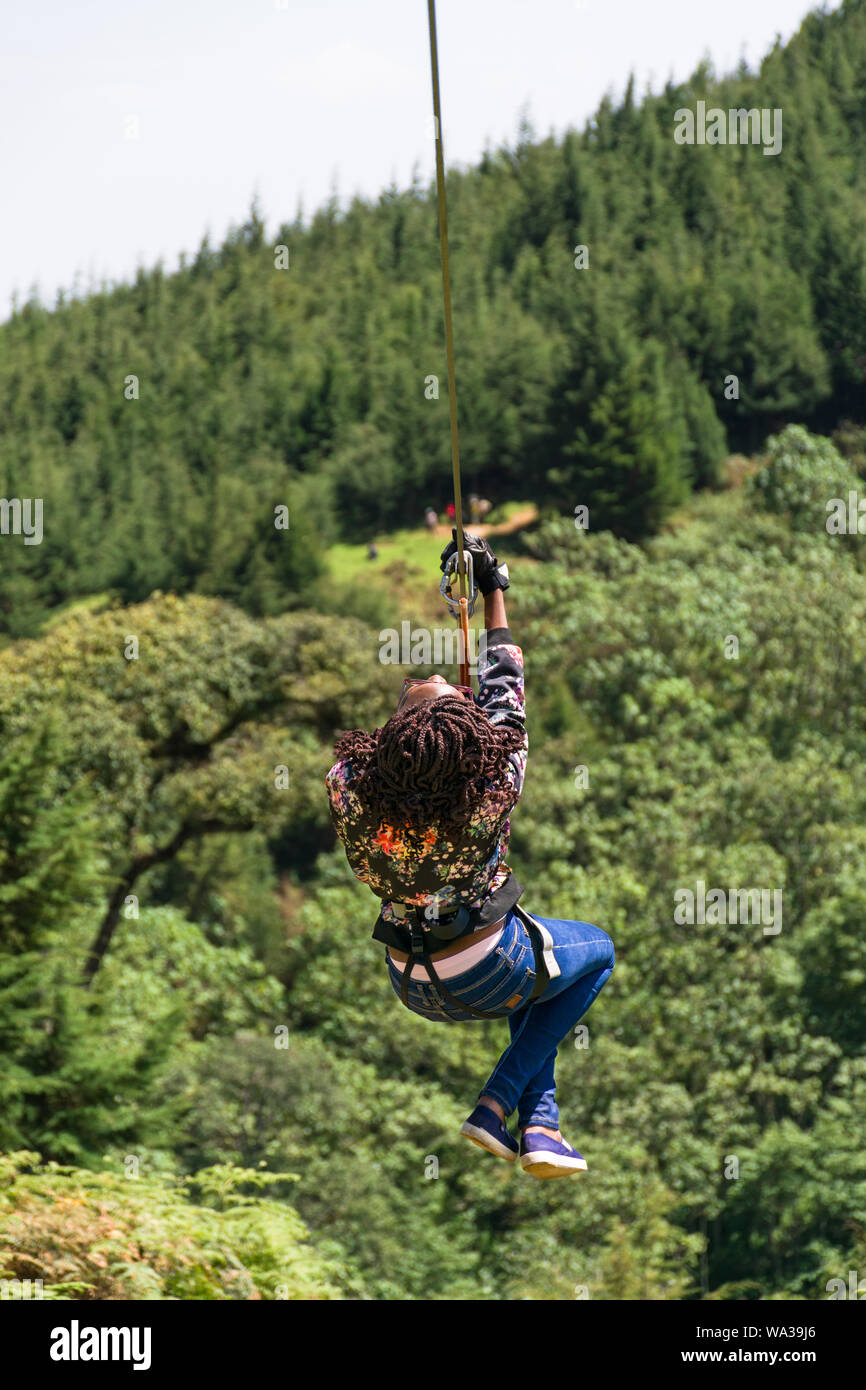 A young Kenyan woman travelling on a zip line at The Forest recreation ...