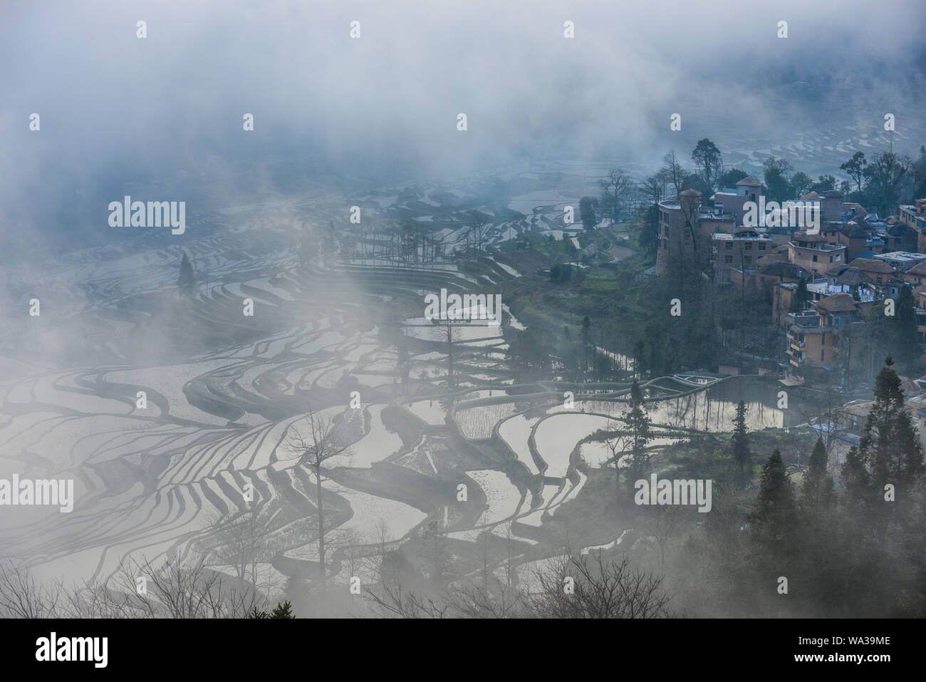 Yang village scenery hi-res stock photography and images - Alamy