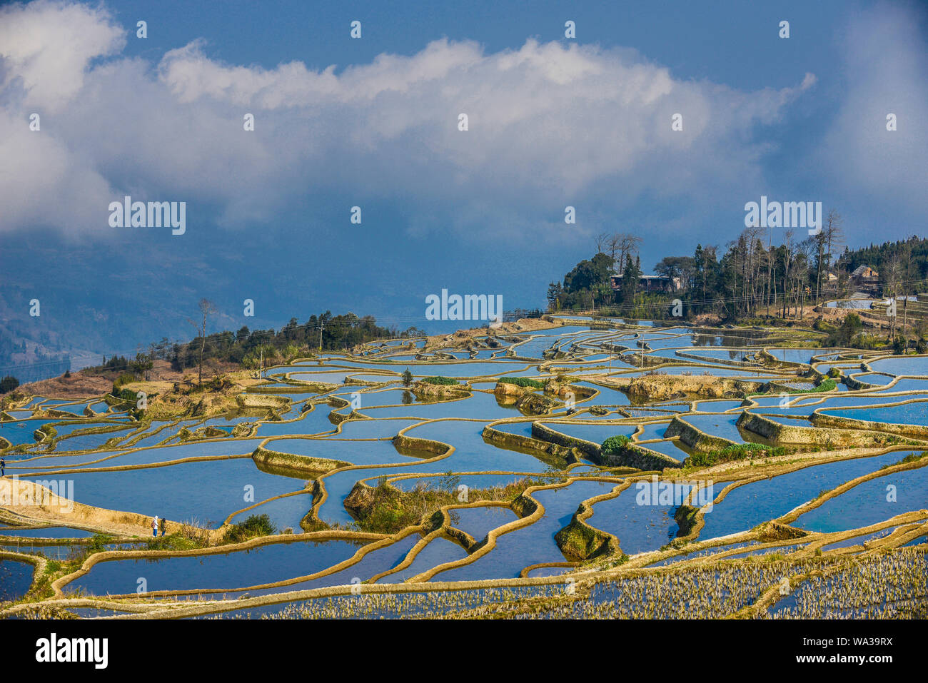 Yuan Yang terraces Stock Photo - Alamy