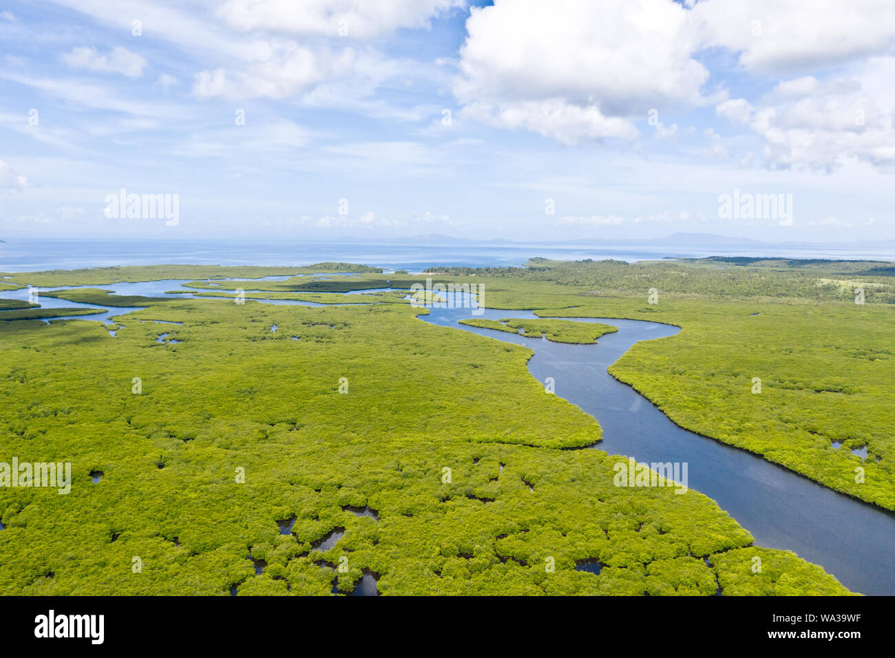 River in the mangroves, top view. Tropical landscape with mangrove ...