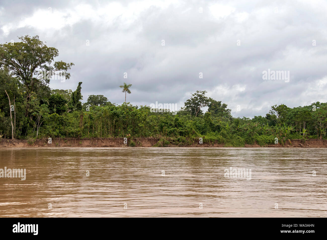 Eco tourism boat tour on Beni river, view on muddy river water and ...