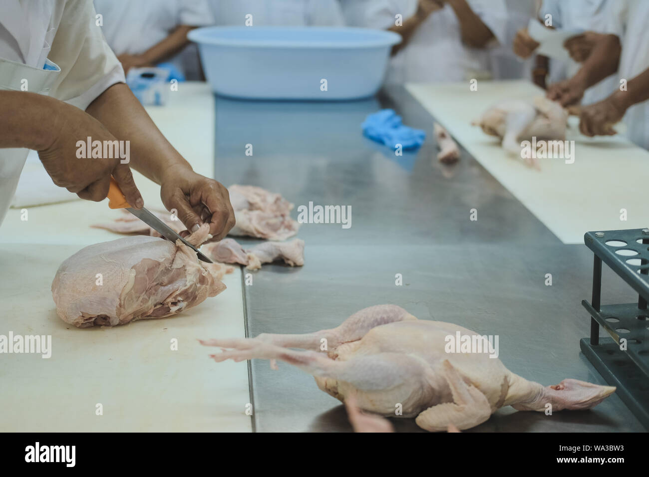 cutting chicken carcass in factory. poultry production in food plant ...
