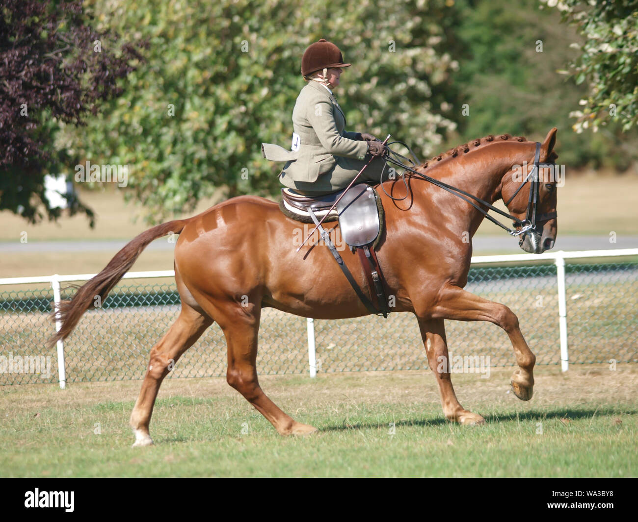 Side saddle habit hi-res stock photography and images - Alamy