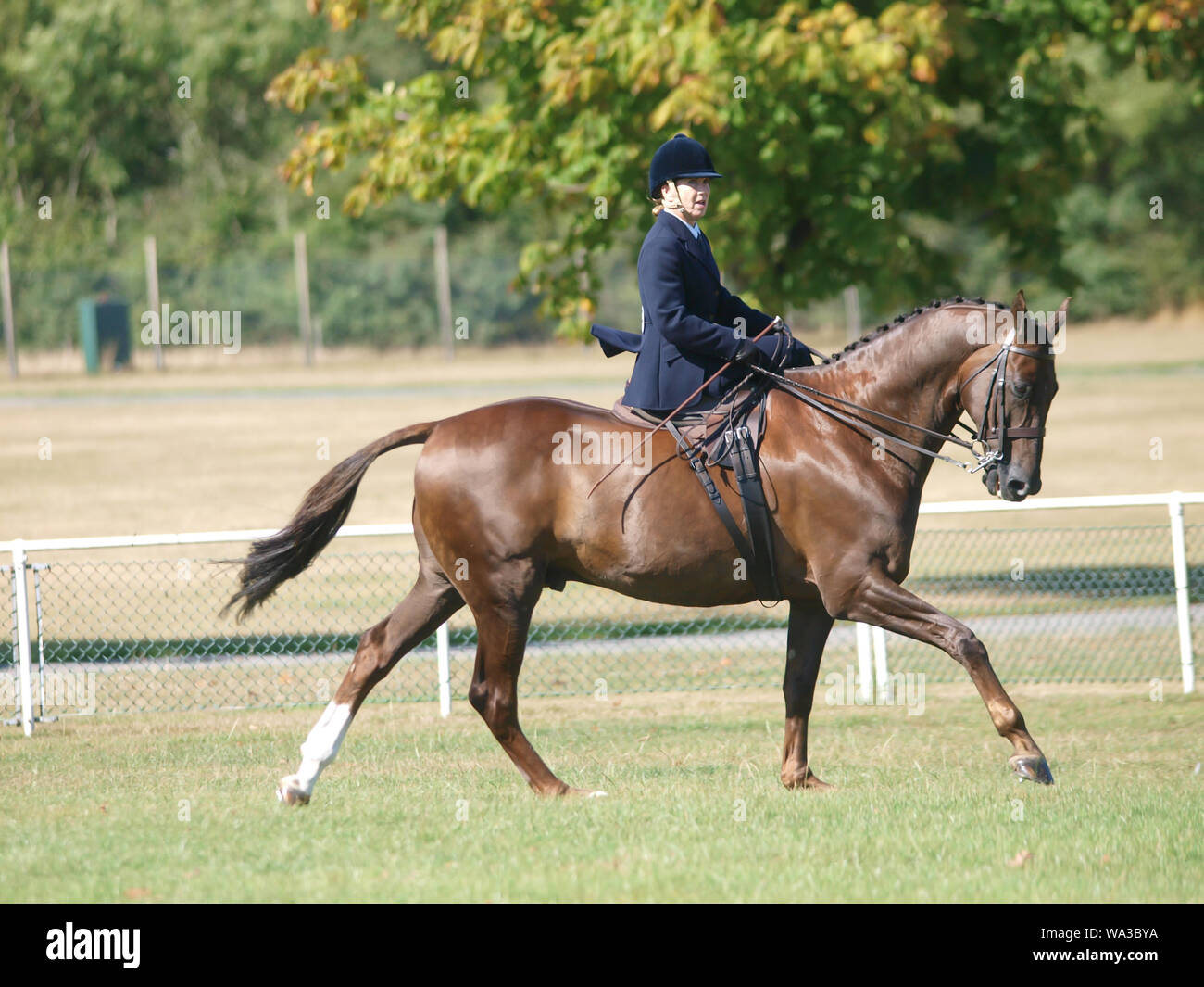 Ladies riding side saddle hi-res stock photography and images - Alamy