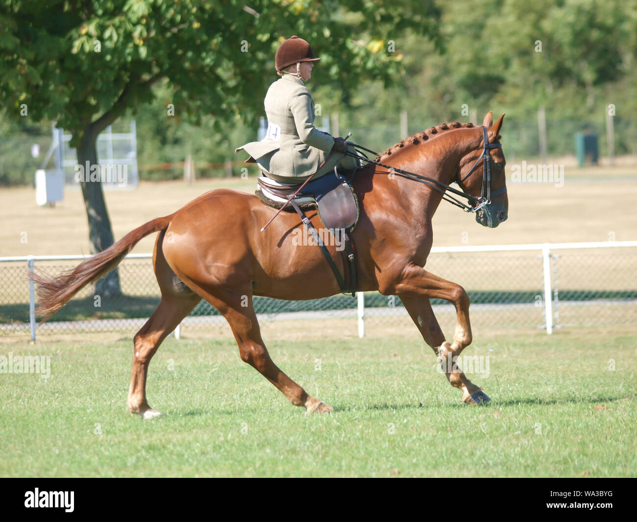 Victorian lady riding side saddle hi-res stock photography and images ...