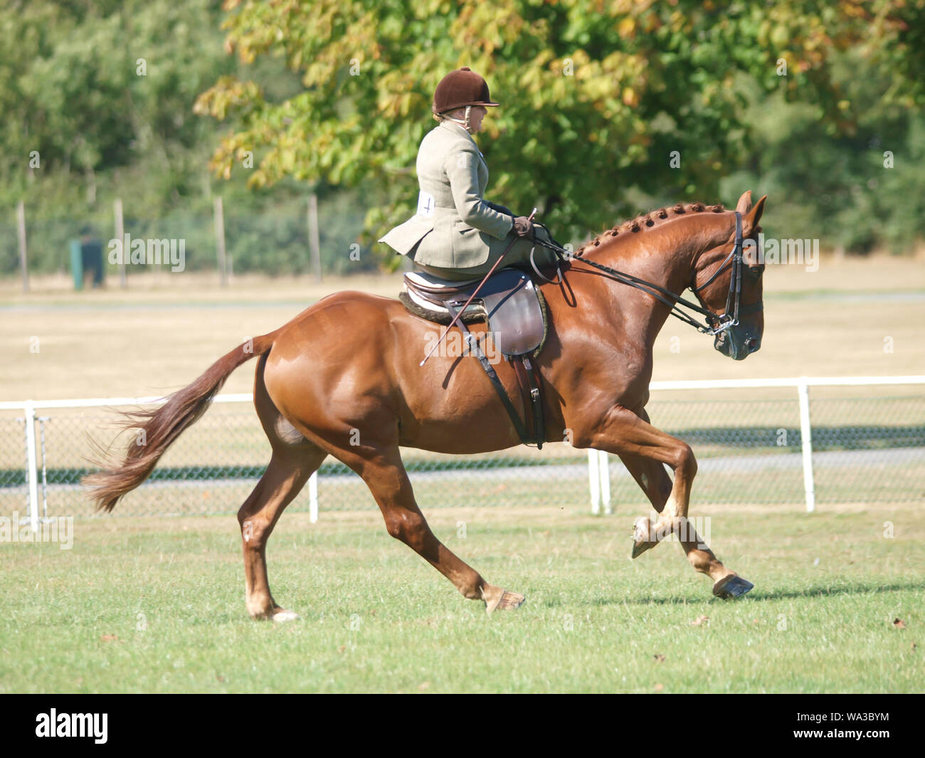 Side saddle habit hi-res stock photography and images - Alamy