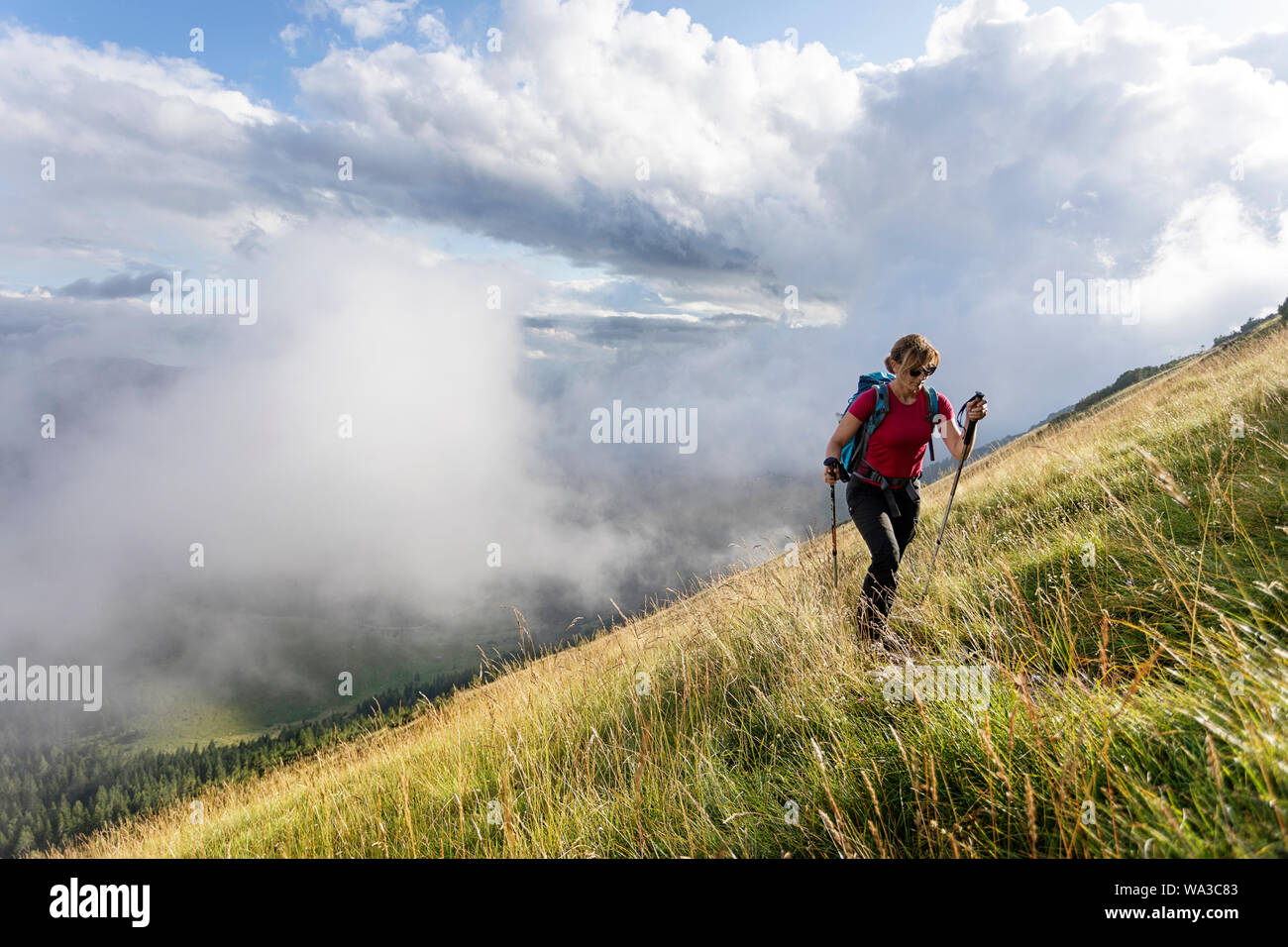 Recreation pursuit hi-res stock photography and images - Alamy